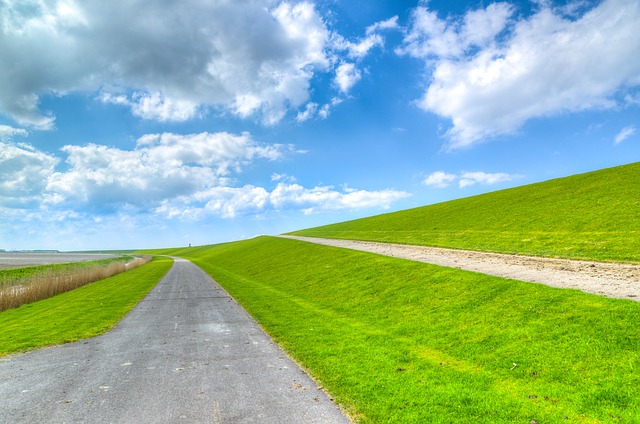 » Dijken waterschap Brabantse Delta: veiligheidsrapportage 2021